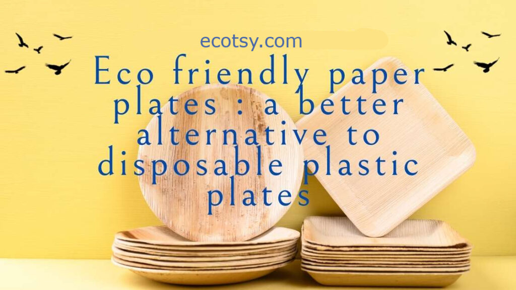 What Are Eco Friendly Paper Plates And Why Use Them Ecotsy What Are Eco Friendly Paper Plates And Why Use Them Ecotsy