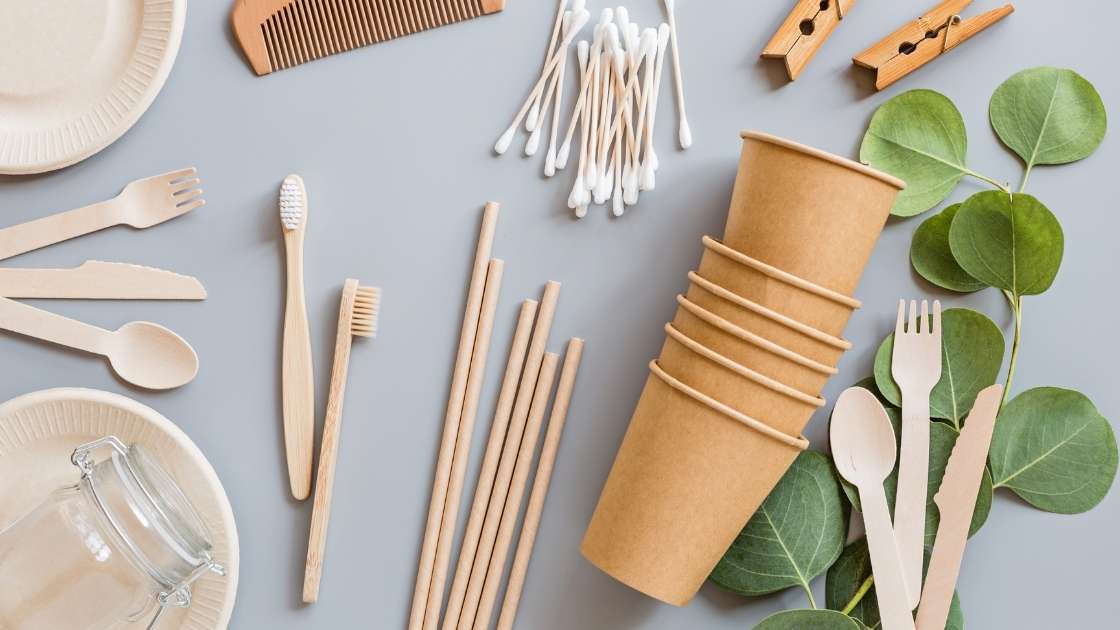 What are Eco Friendly Cups? - Ecotsy