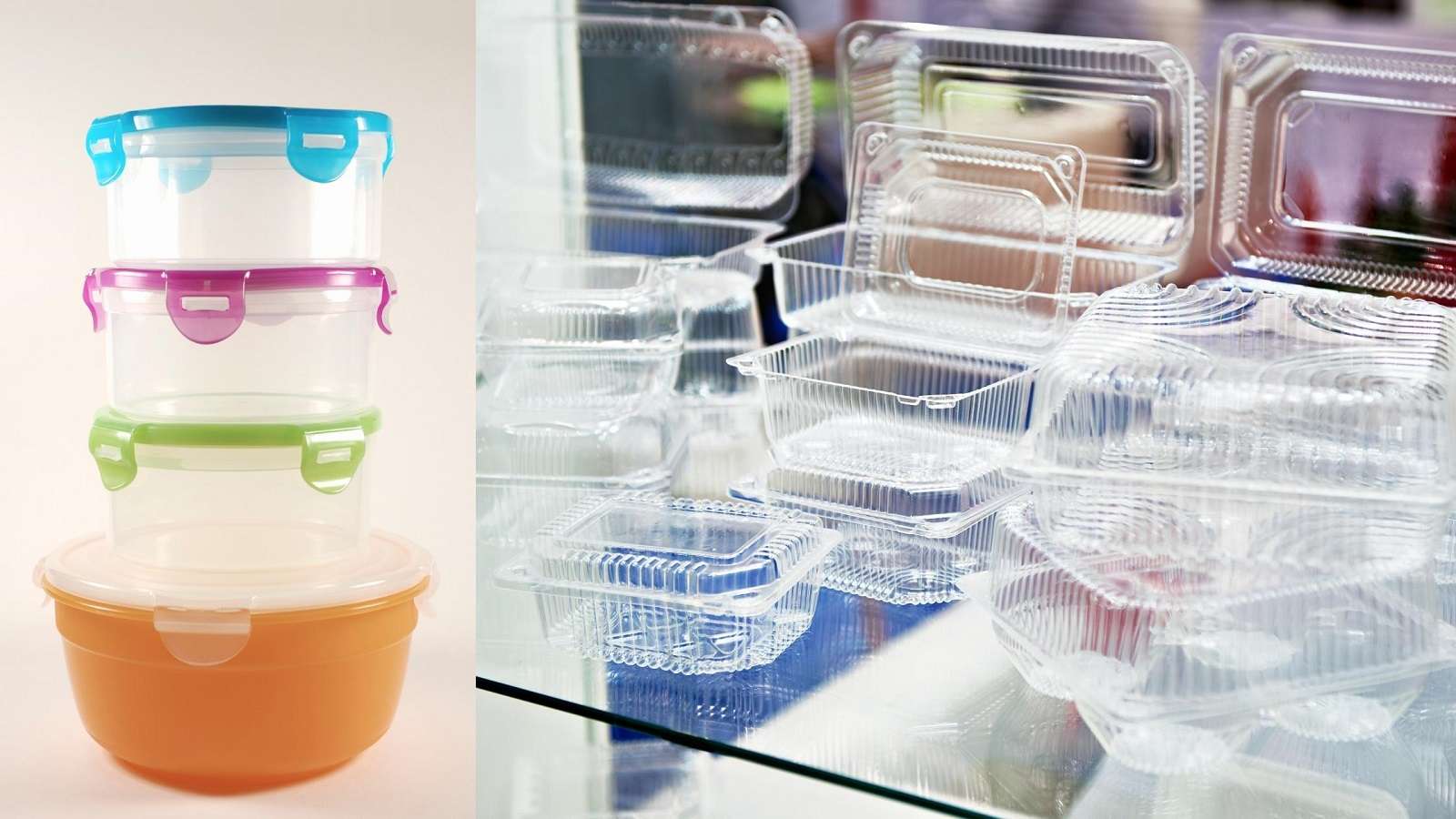 Eco Friendly Disposable Food Containers That Are Green And Sustainable ...