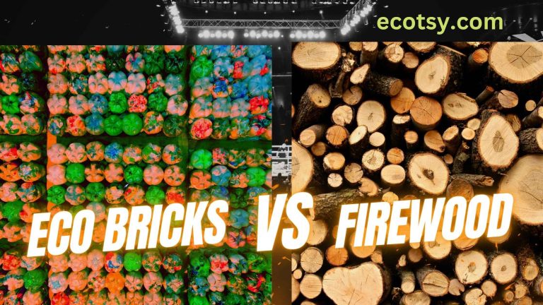 Eco Bricks vs Firewood: The Pros and Cons - Ecotsy