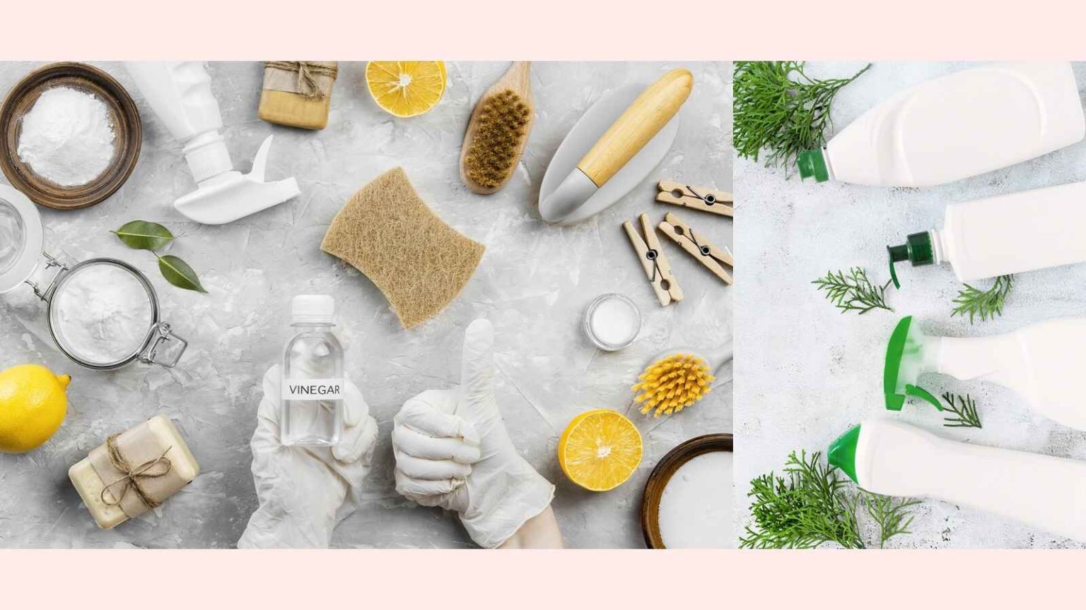 Eco friendly cleaning products vs regular cleaning products - Ecotsy
