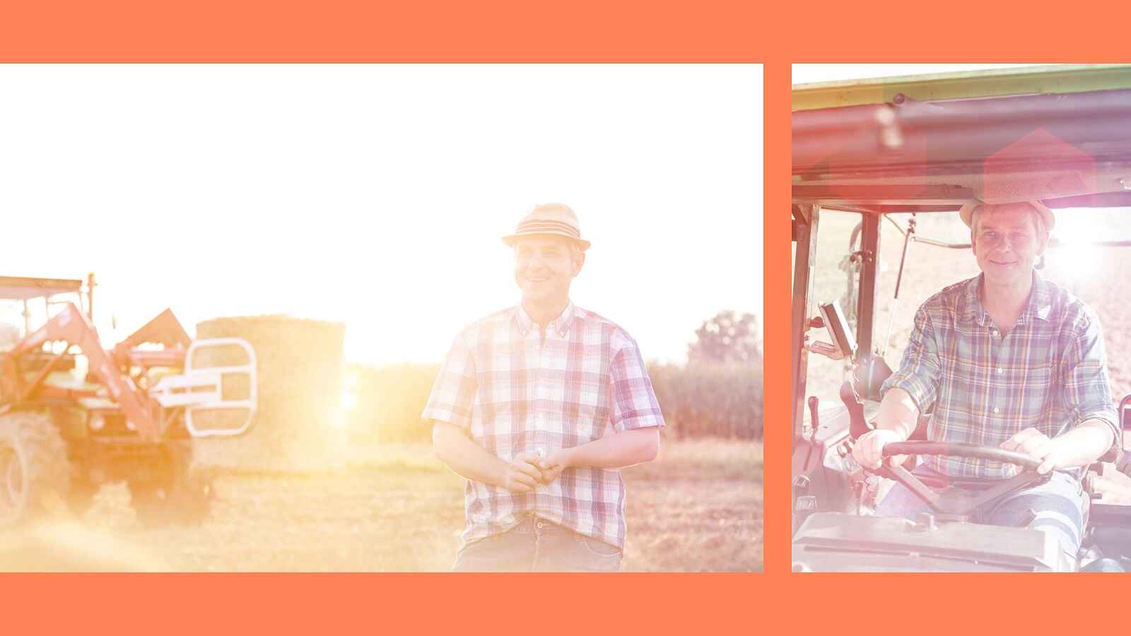 A Comprehensive Look at Eco Farming Vs Organic Farming - Ecotsy